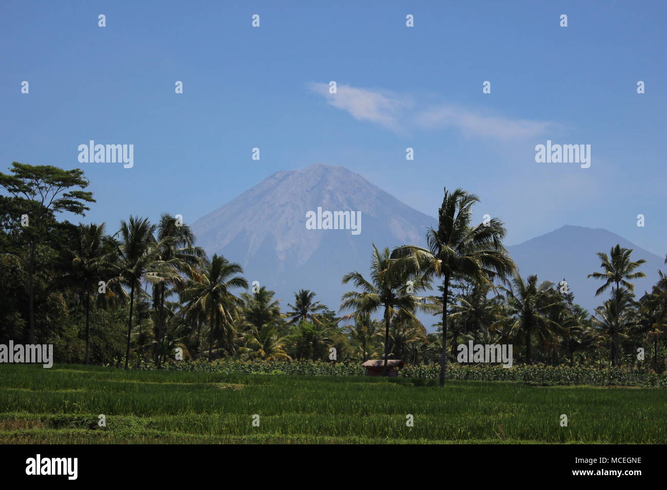 The atmosphere of the slopes of Mount Semeru, one of the largest and ...