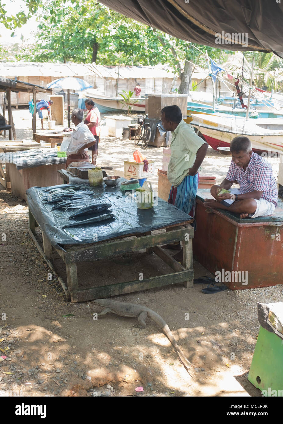 Fisherman selling fish at the fish market, Galle, Sri Lanka, Asia Stock ...