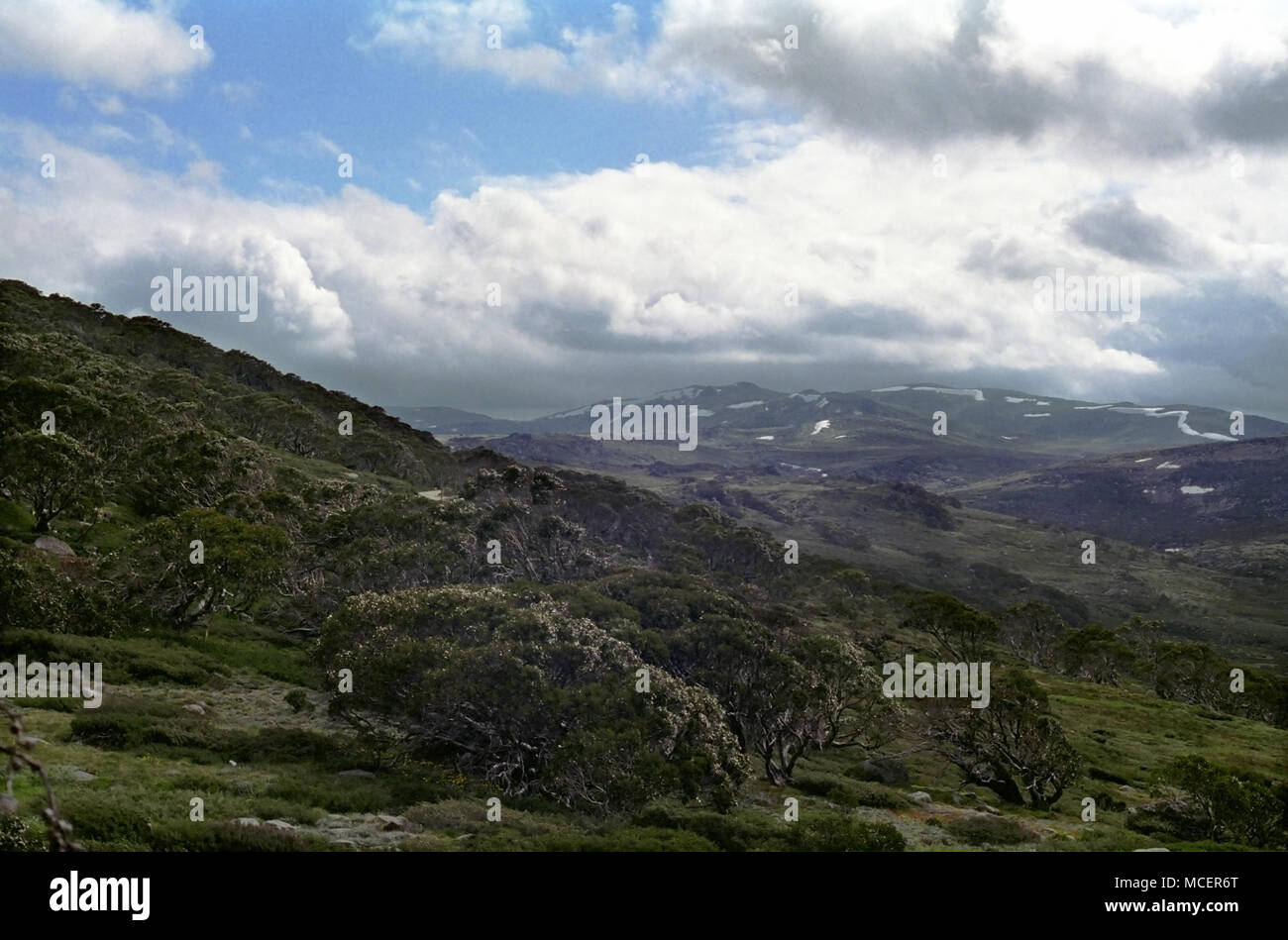 Snow mountains australia alps hi-res stock photography and images - Alamy