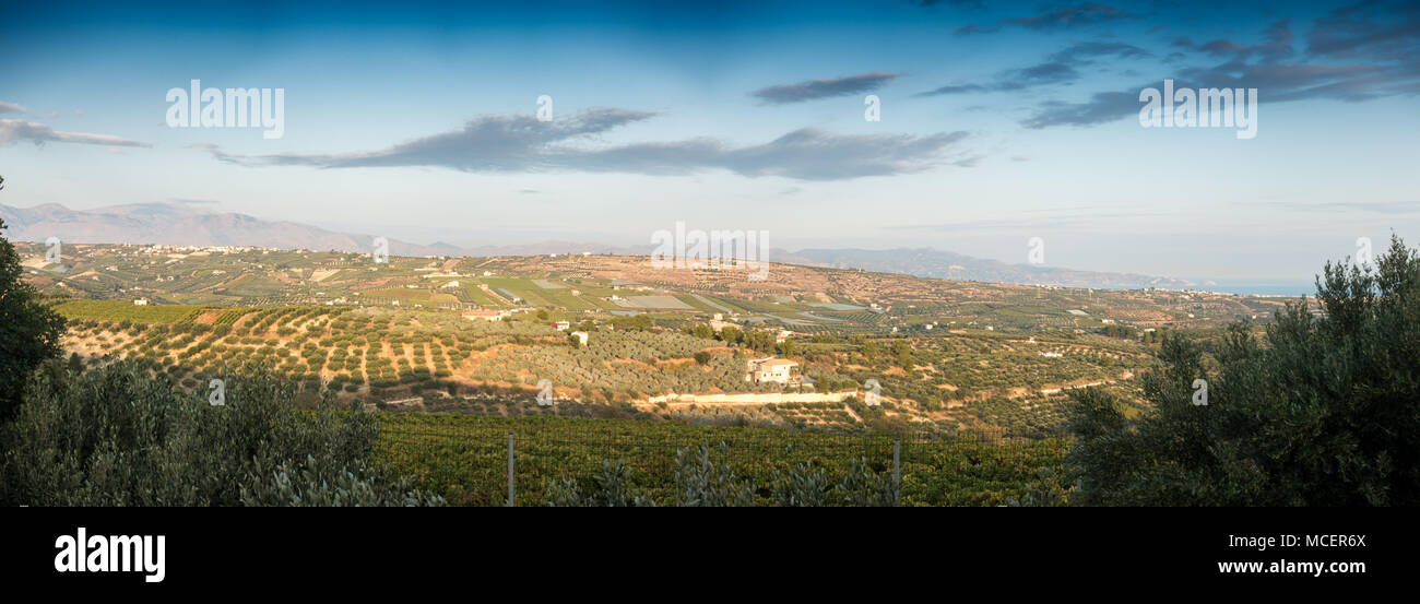 Scenic view of agricultural field, Heraklion, Greece Stock Photo - Alamy