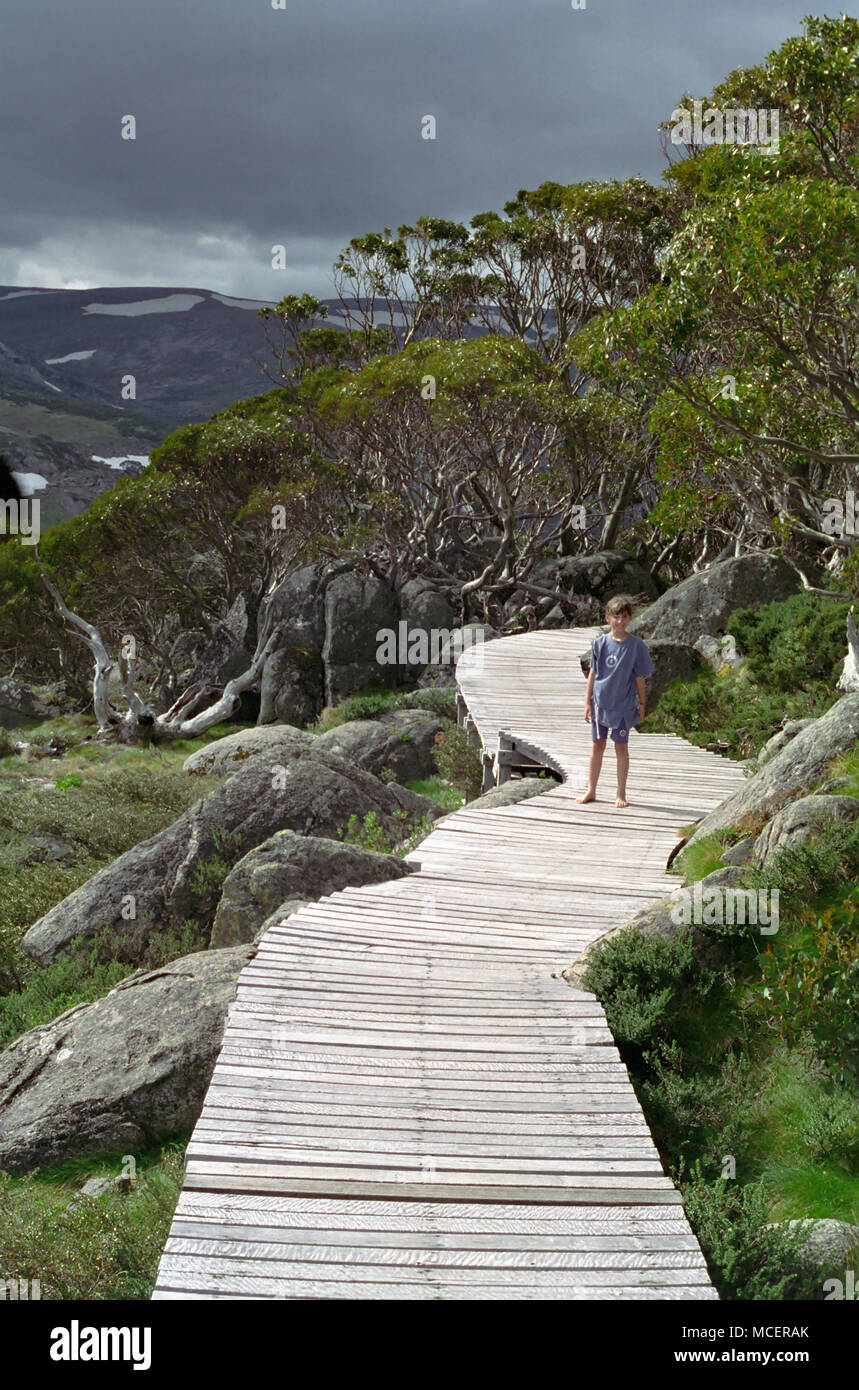 Girl on boardwalk, Perisher Valley in early summer, with snow-melt in ...