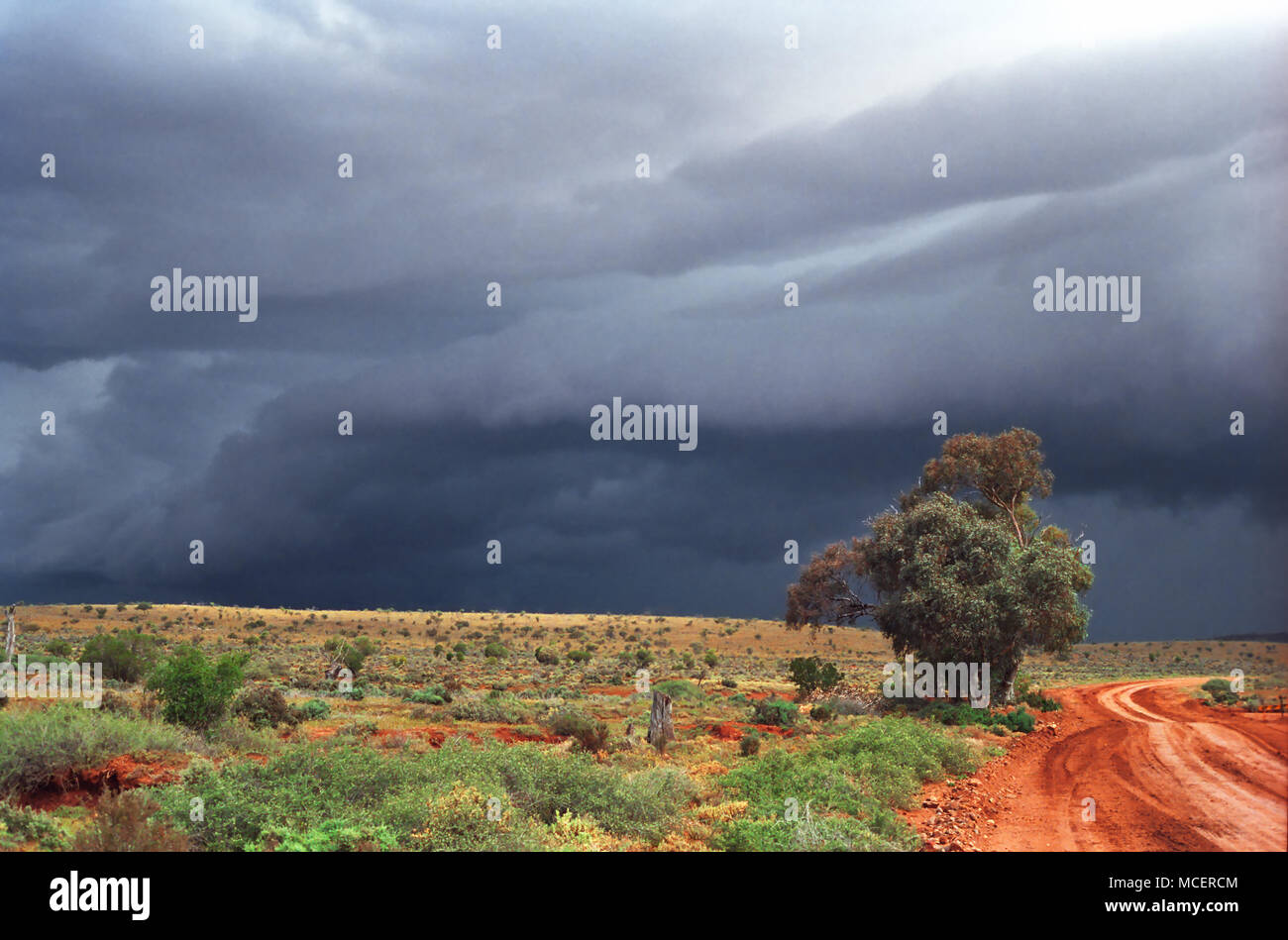 Silver plains hi-res stock photography and images - Alamy