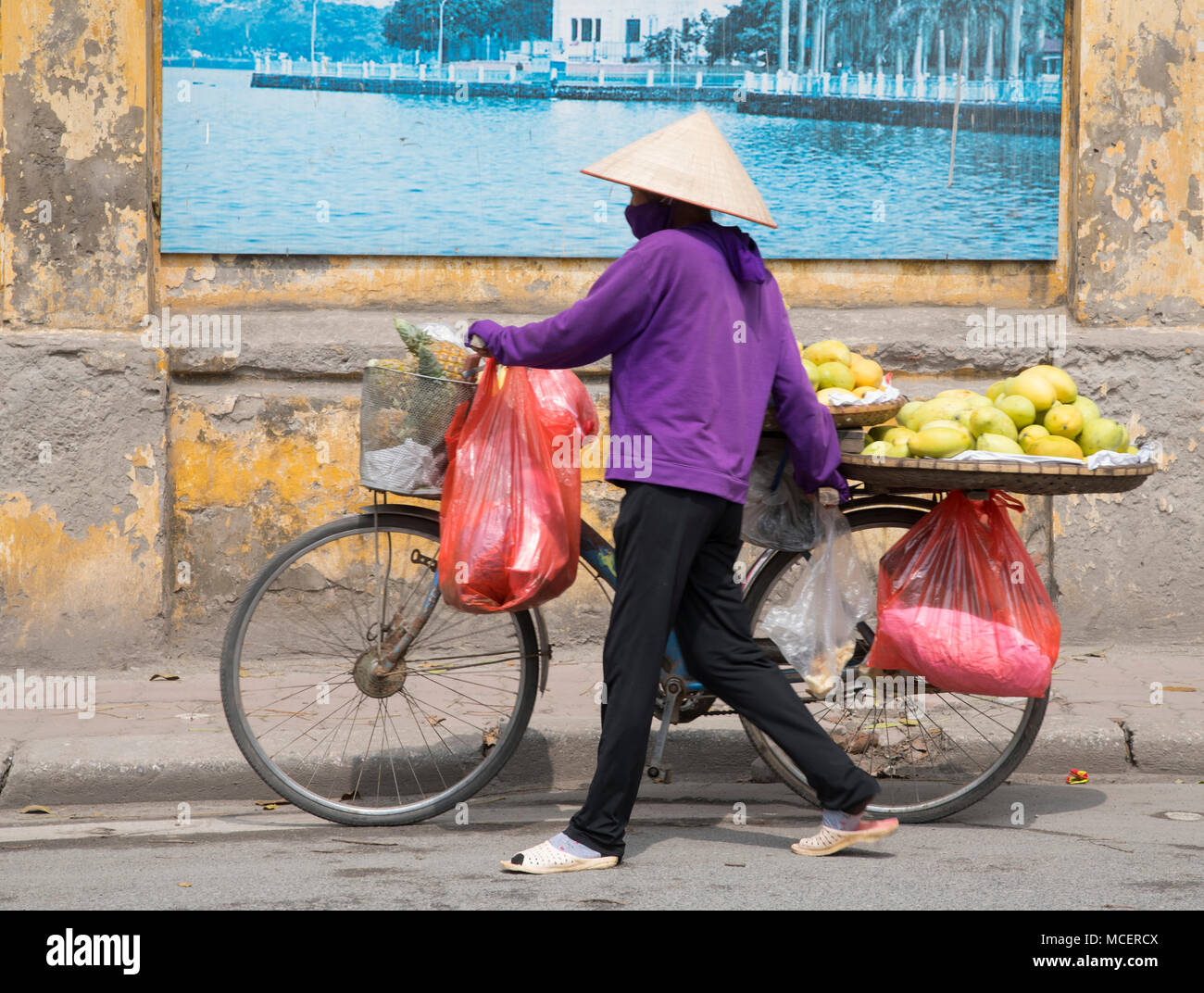 A woman selling mangos and pineapples from her bicycle in Hanoi ...