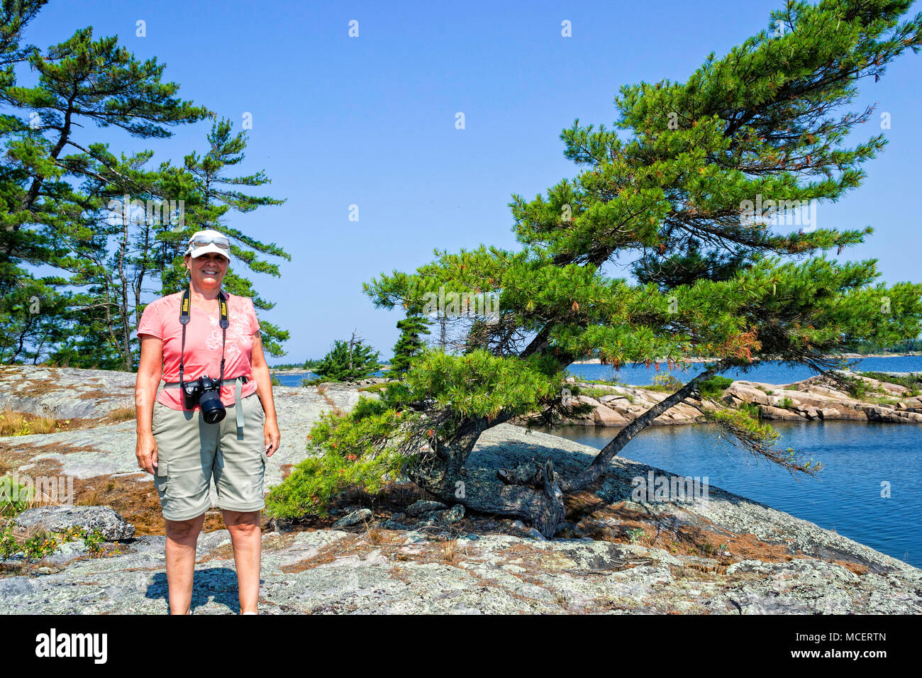Windswept pine tree georgian bay hi-res stock photography and images ...