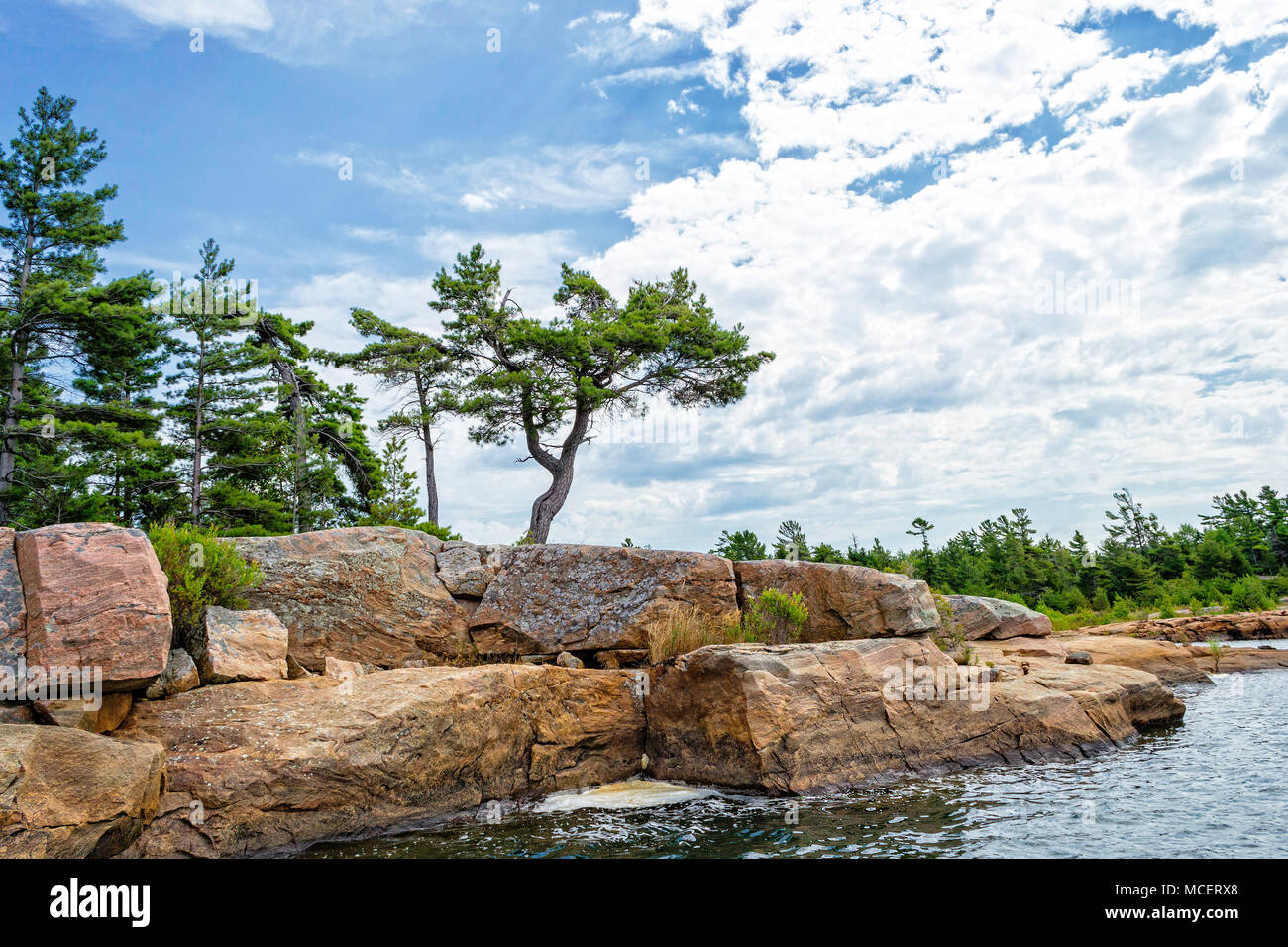 Pines grow on rocks hi-res stock photography and images - Alamy