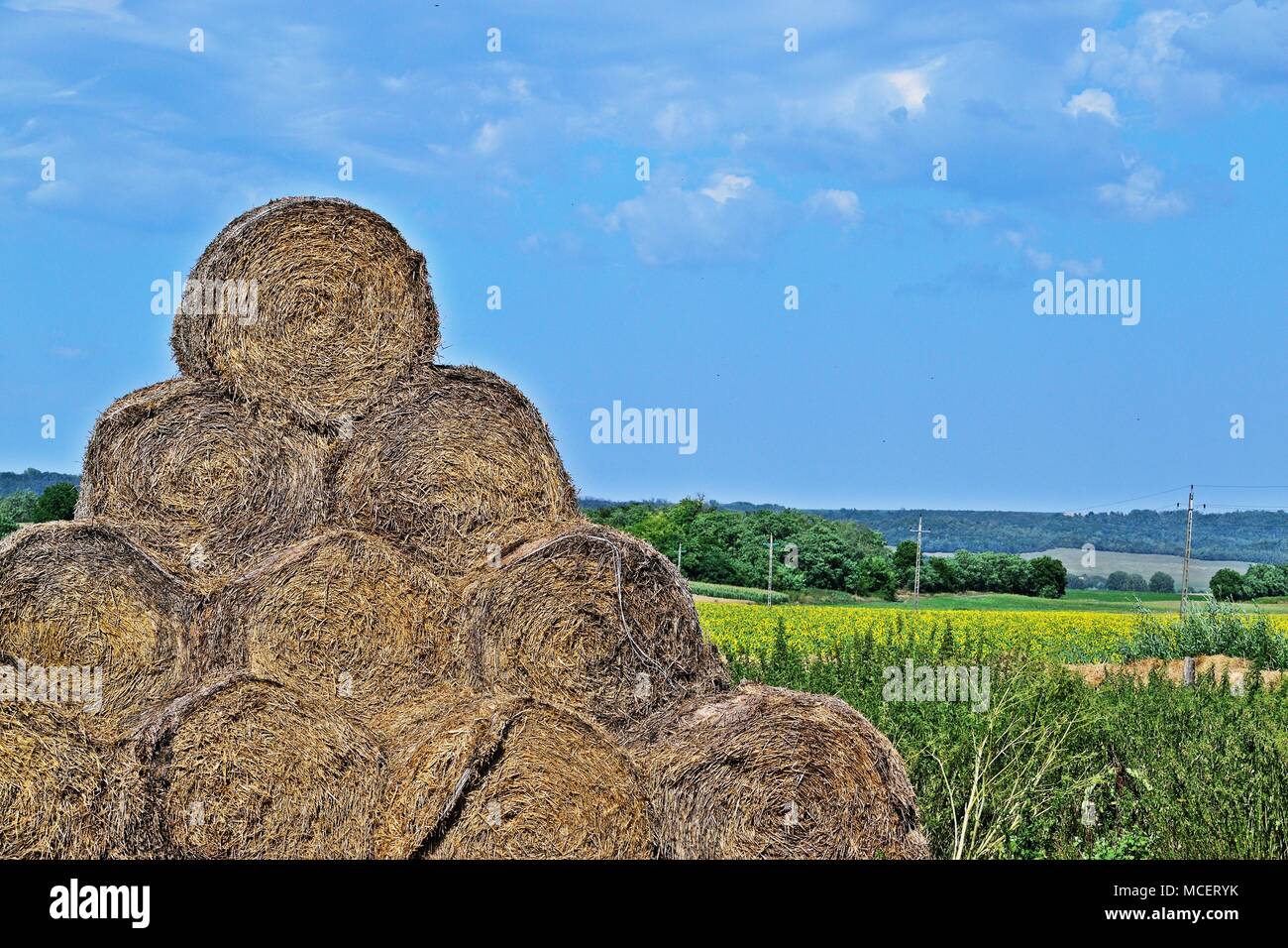 Agriculture farming hay haystack hi-res stock photography and images ...