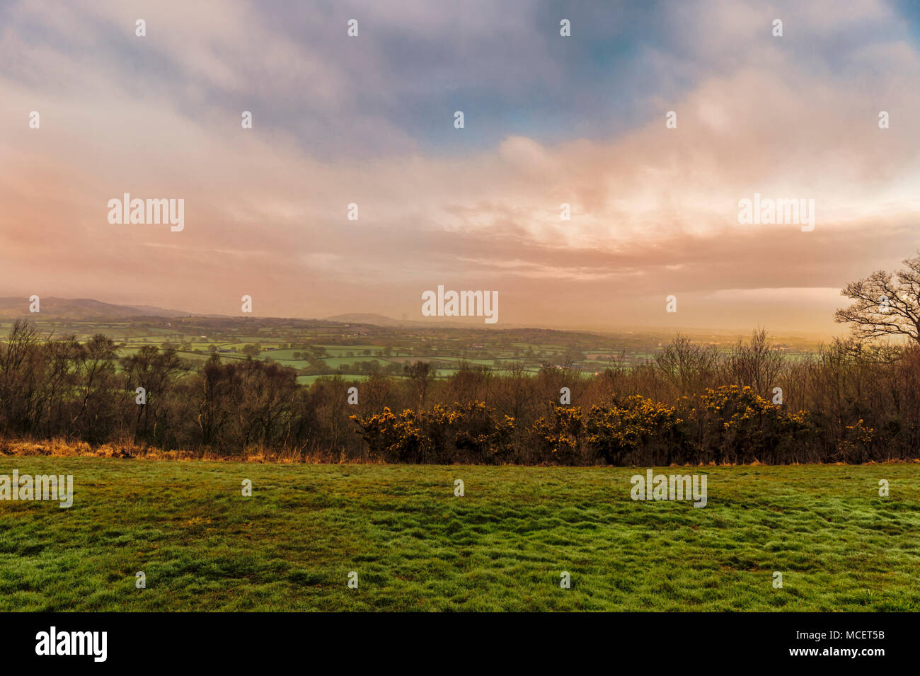 East knoyle hi-res stock photography and images - Alamy