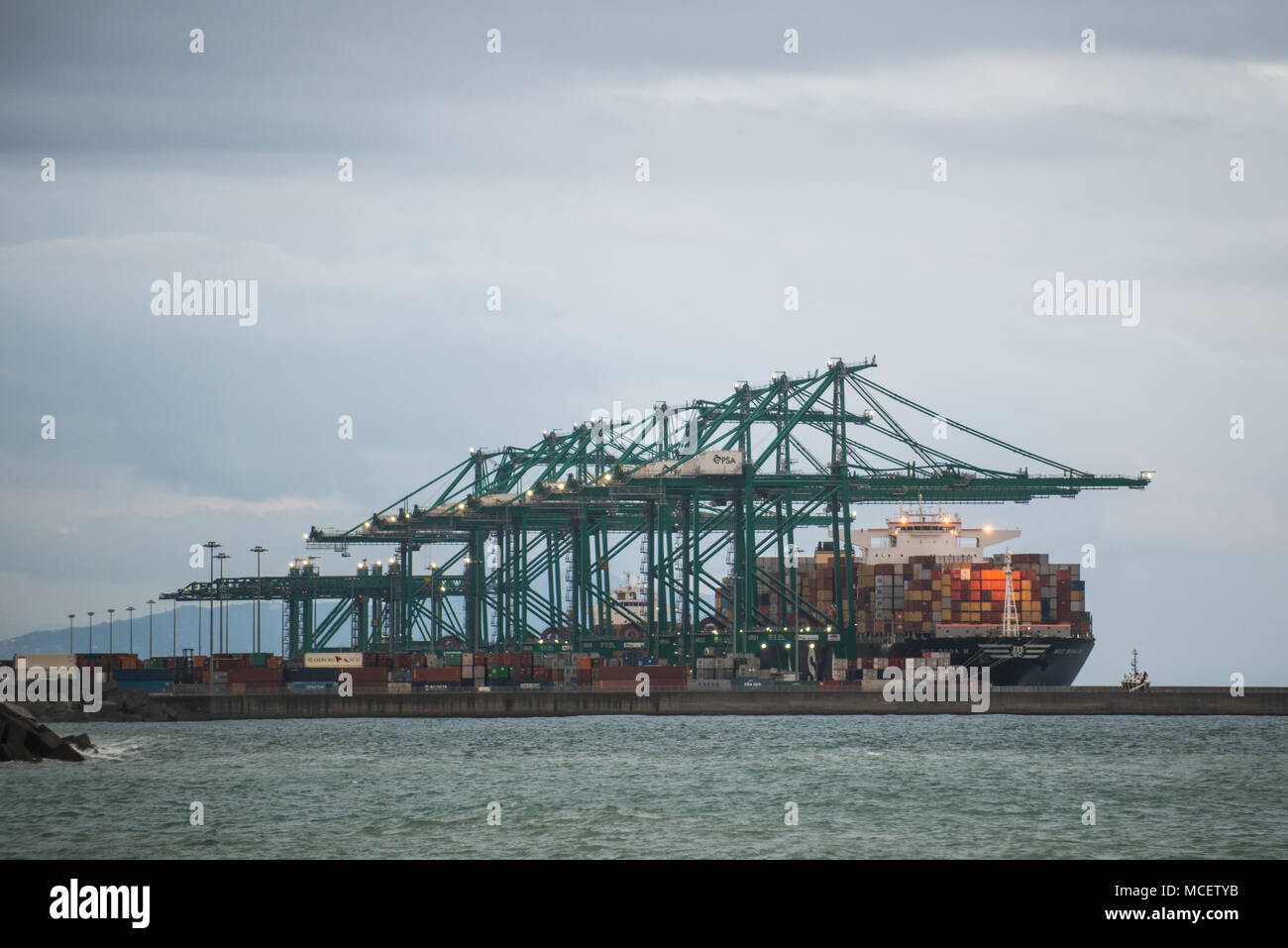 MSC Rosa loading in Genoa Italy (GOA Stock Photo - Alamy