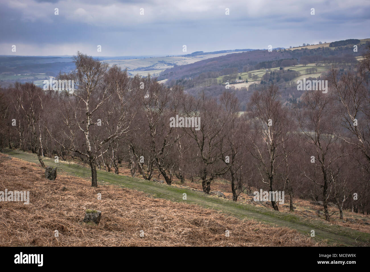 Leafless trees on slope and stunning Peak District landscape in ...