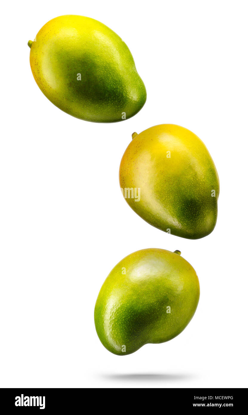 Falling mangoes fruit isolated on white background Stock Photo - Alamy