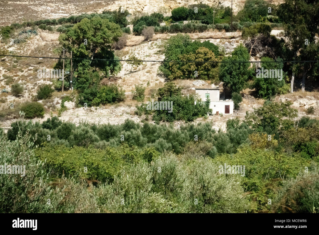 Plants growing on farm land, Heraklion, Greece Stock Photo - Alamy