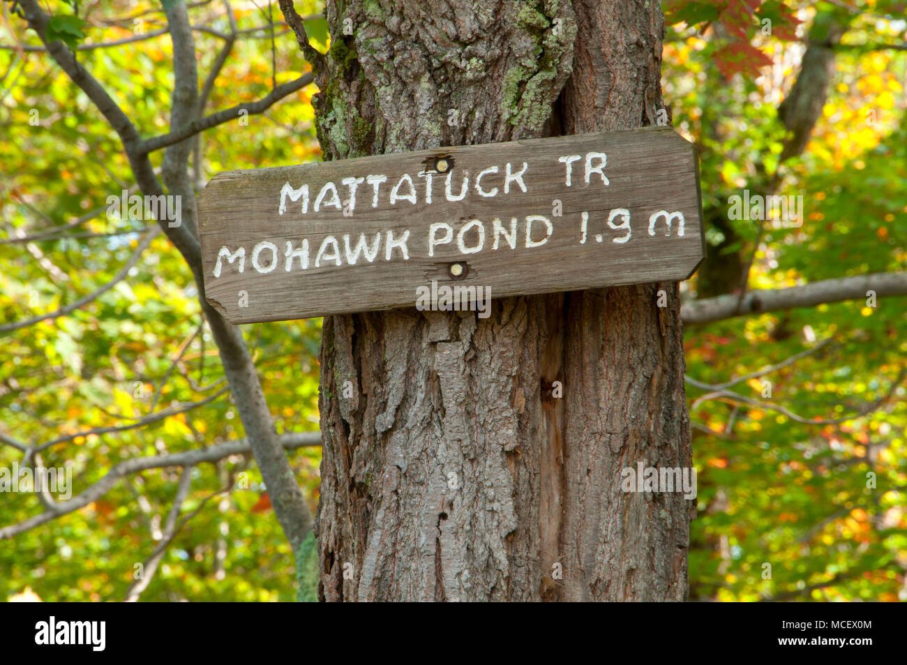 Mattatuck Trail sign, Mohawk State Forest, Connecticut Stock Photo - Alamy