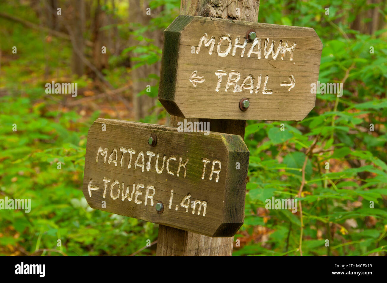 Mohawk Trail and Mattatuck Trail signs, Mohawk State Forest ...