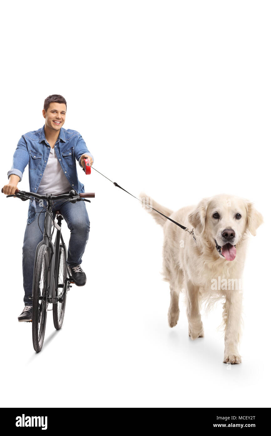 Man walking training dog Cut Out Stock Images & Pictures - Alamy