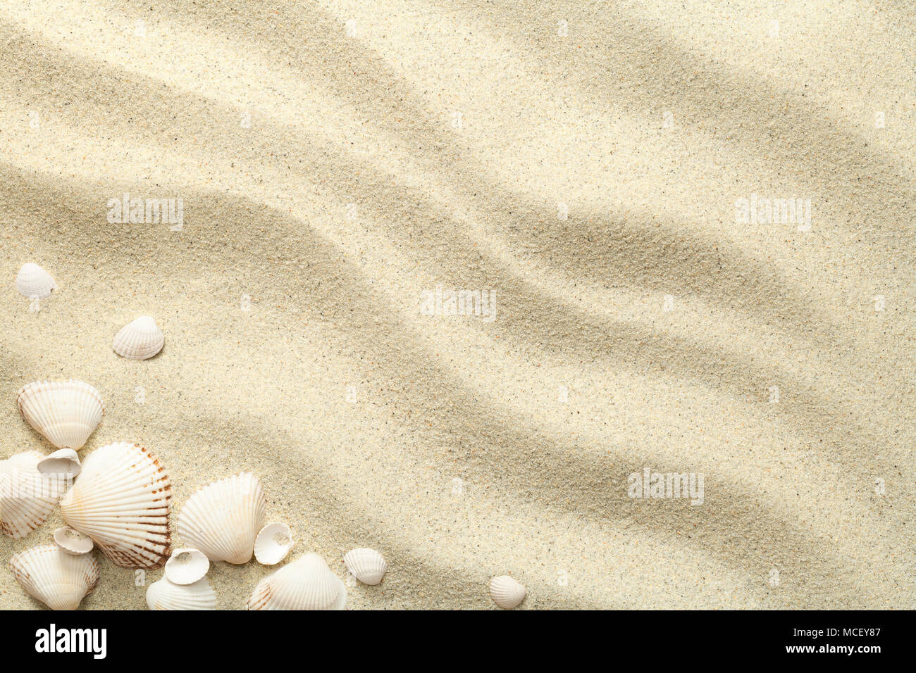 Sand background with shells. Beach texture. Copy space. Top view Stock ...