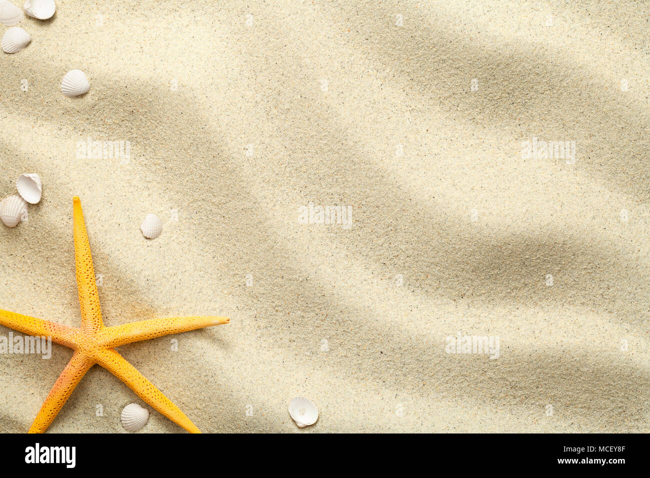 Sand background with starfish and shells. Beach texture. Copy space ...