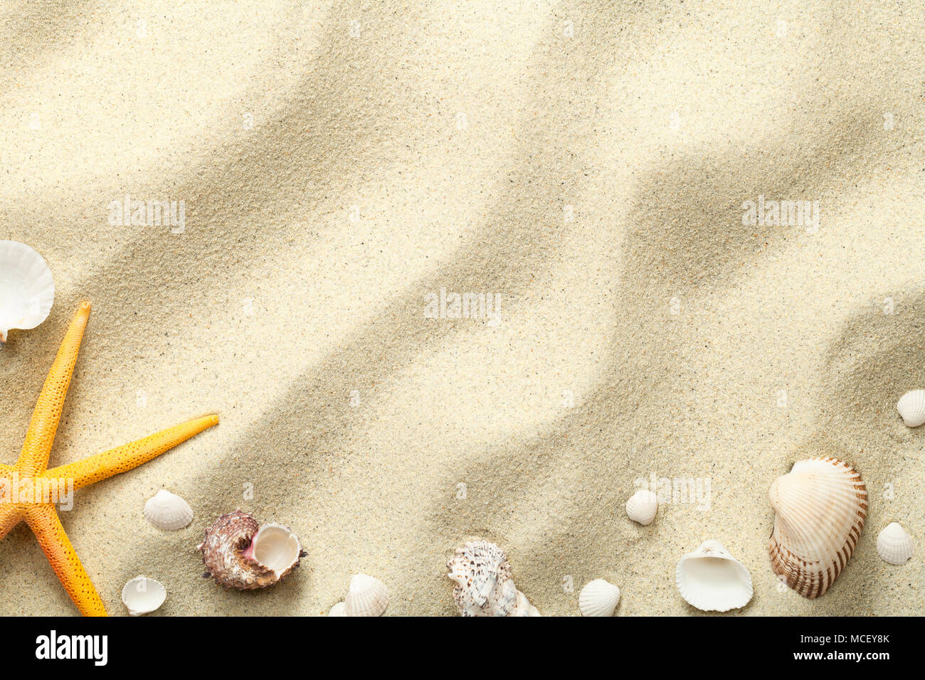 Sand background with starfish and shells. Beach texture. Copy space ...