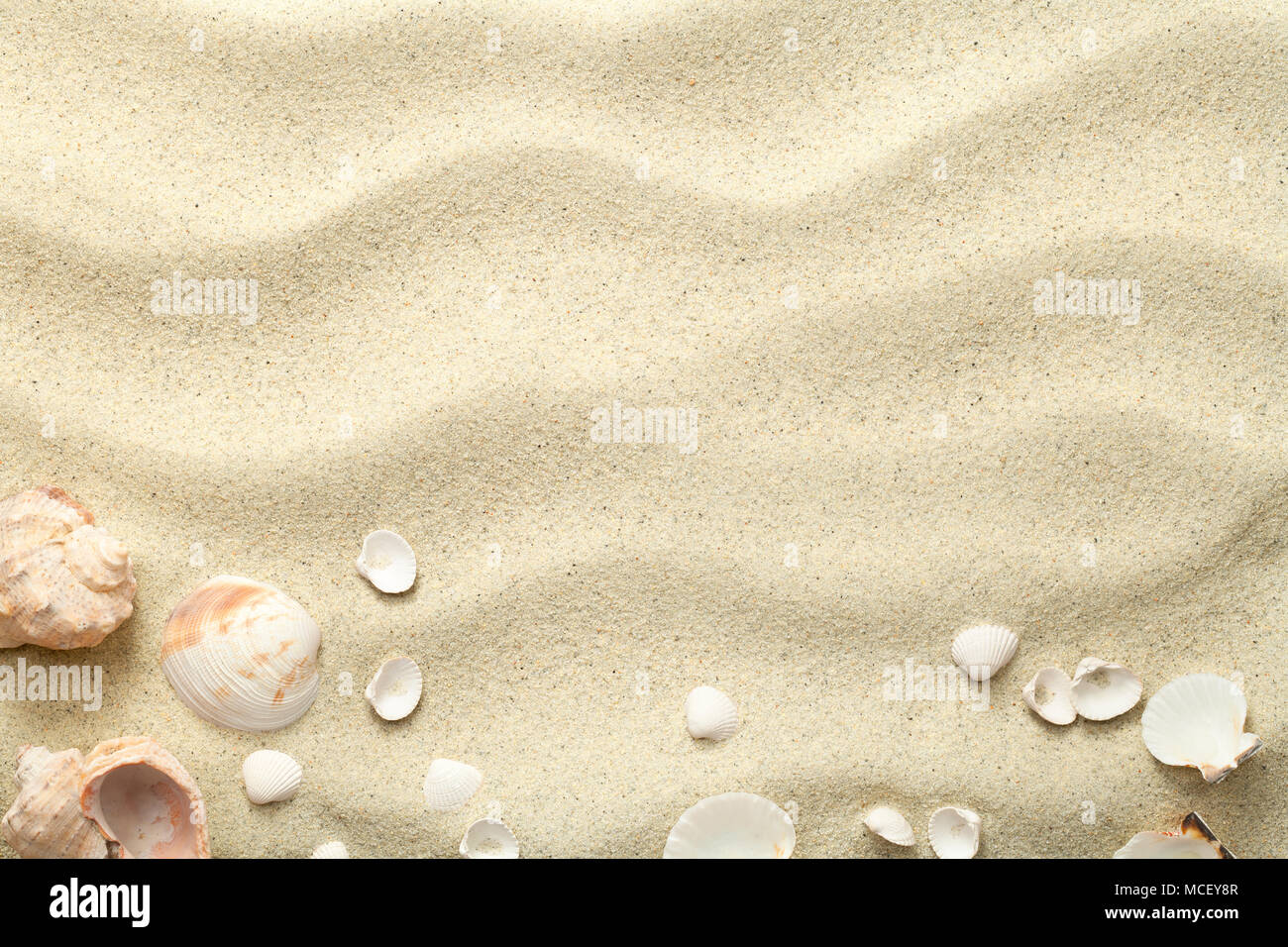Sand background with shells. Beach texture. Copy space. Top view Stock ...