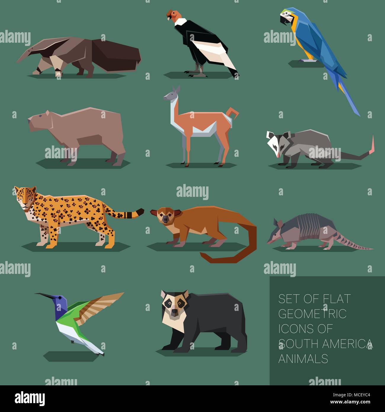 Bolivia andean bear Stock Vector Images - Alamy