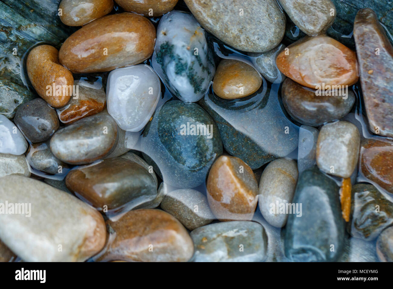 Wet pebbles background hi-res stock photography and images - Alamy