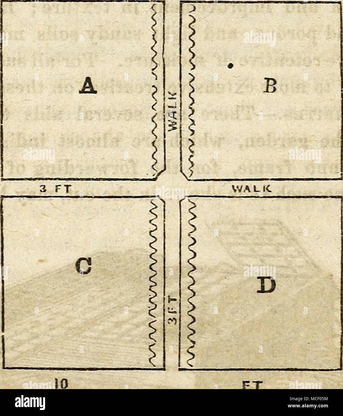 Four side borders hi-res stock photography and images - Alamy