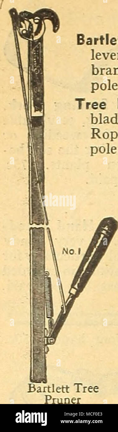 . Tree Trimmers Bartlett Tree Trimmer. Has a compound level lever head ...