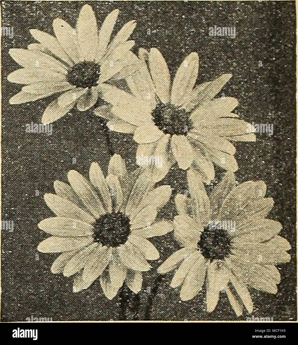 Hp 15c hi-res stock photography and images - Alamy