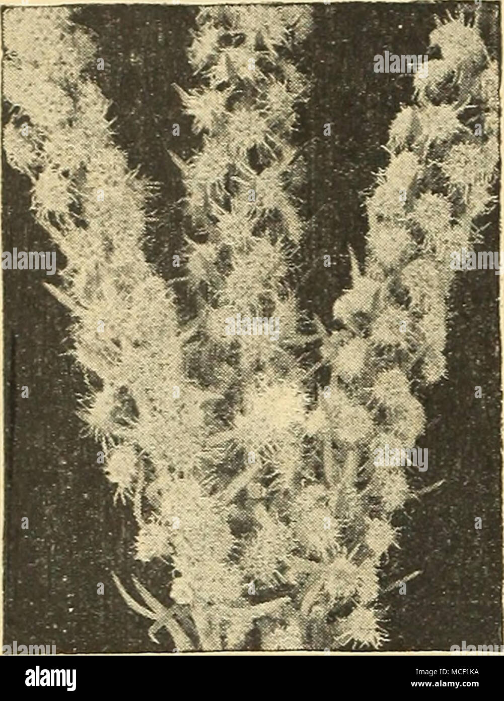 Solid masses hi-res stock photography and images - Alamy