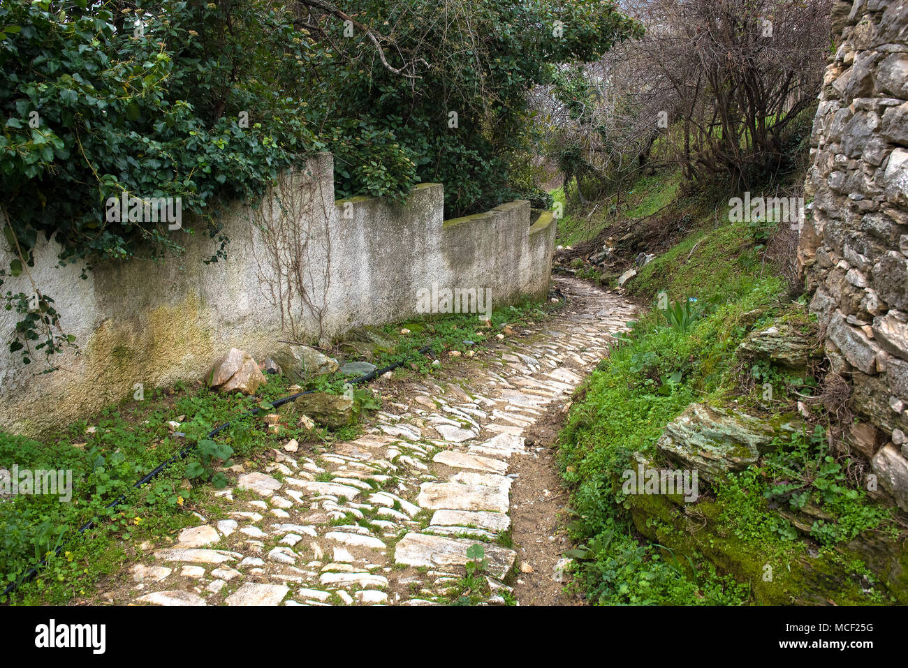 Narrow stone street and walls in Milies village on Pelion mountain ...