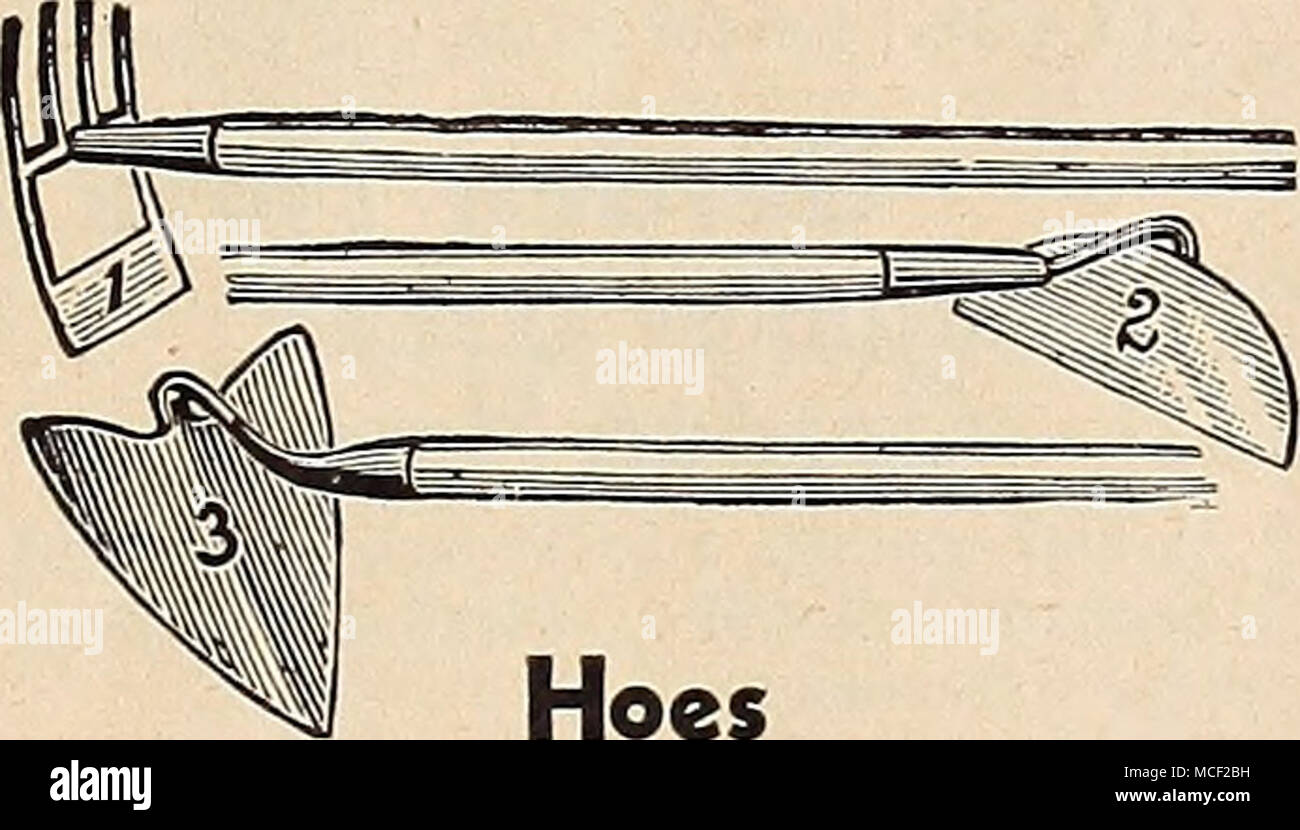 Blade 7 1 4 hi-res stock photography and images - Alamy