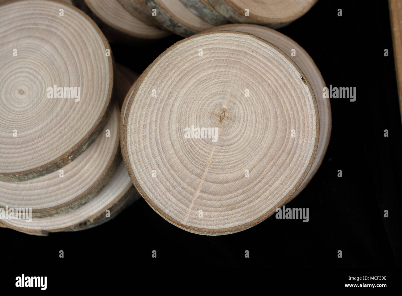 Wood Log cut in round thin pieces in view Stock Photo - Alamy