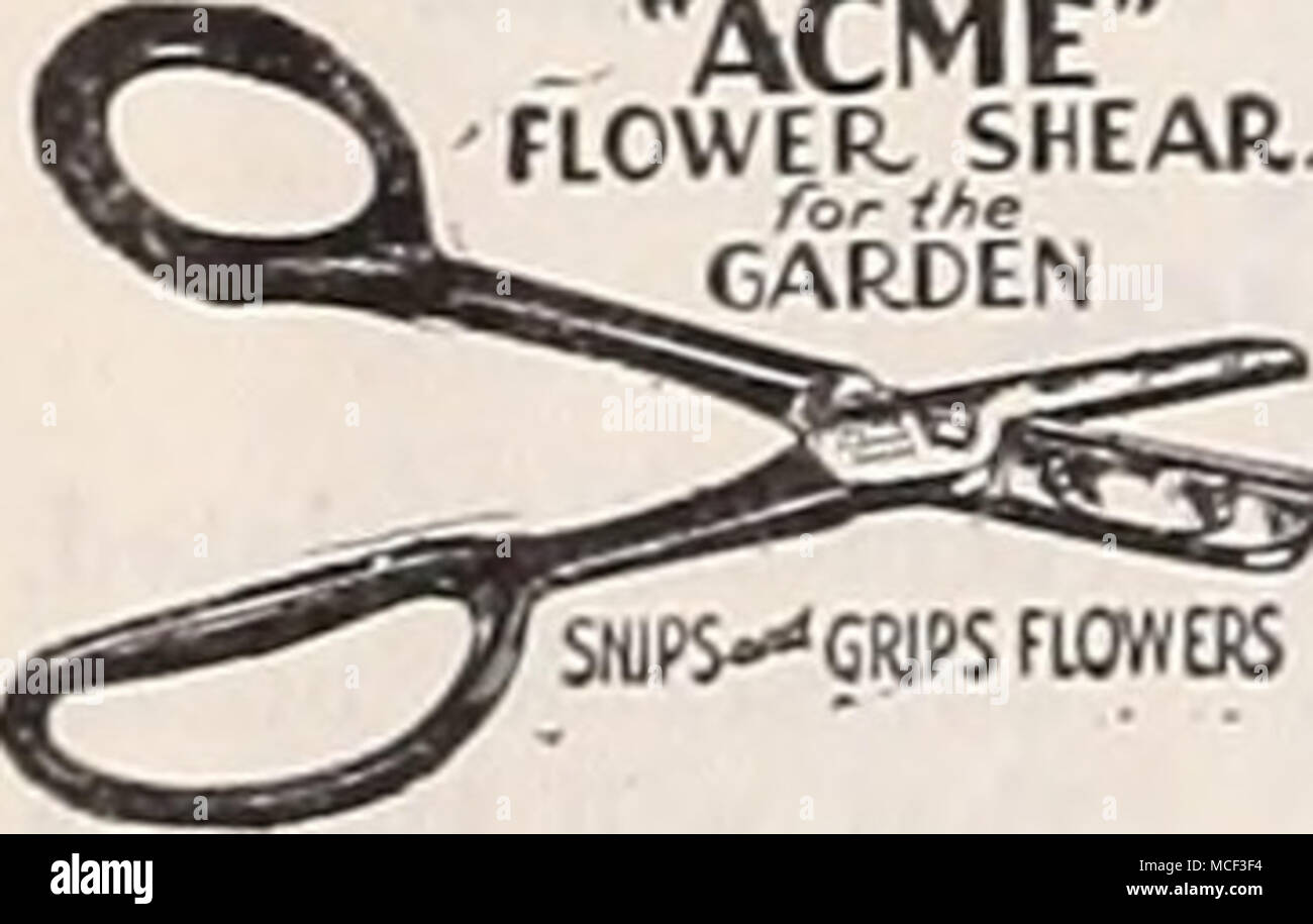 . Scissors Acme Flower Gathering. ACME So designed that they floviJ'ERl ...