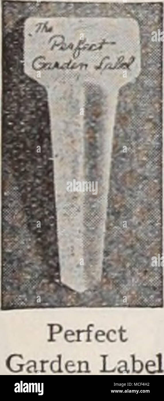 Marking zinc plant labels hi-res stock photography and images - Alamy