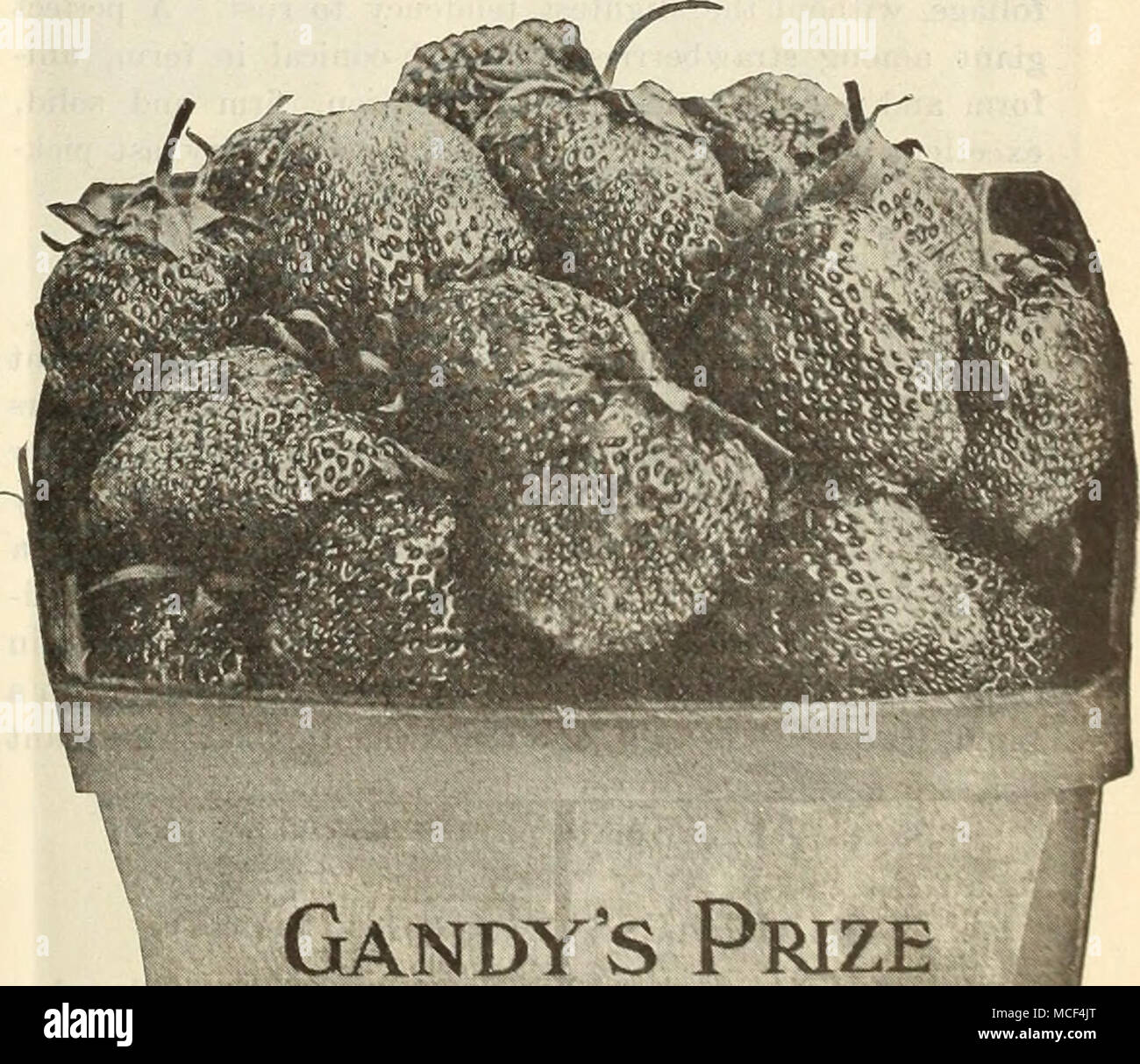 . Candy's Prize ^^ Stock Photo - Alamy