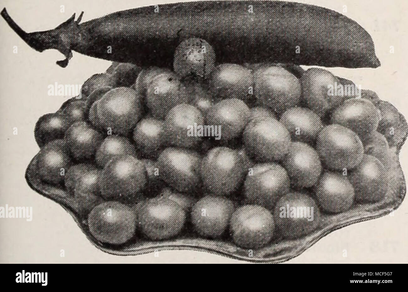 Edward laxton hi-res stock photography and images - Alamy