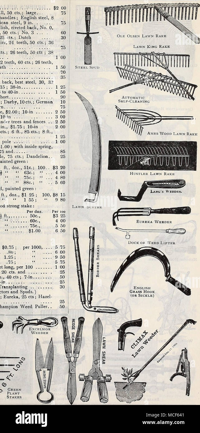 Senb hi-res stock photography and images - Alamy