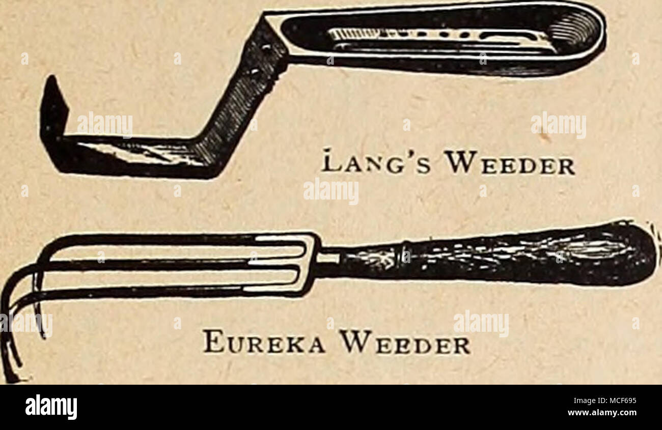 . Eureka Weeder F Dock or Weed Lifter Stock Photo - Alamy