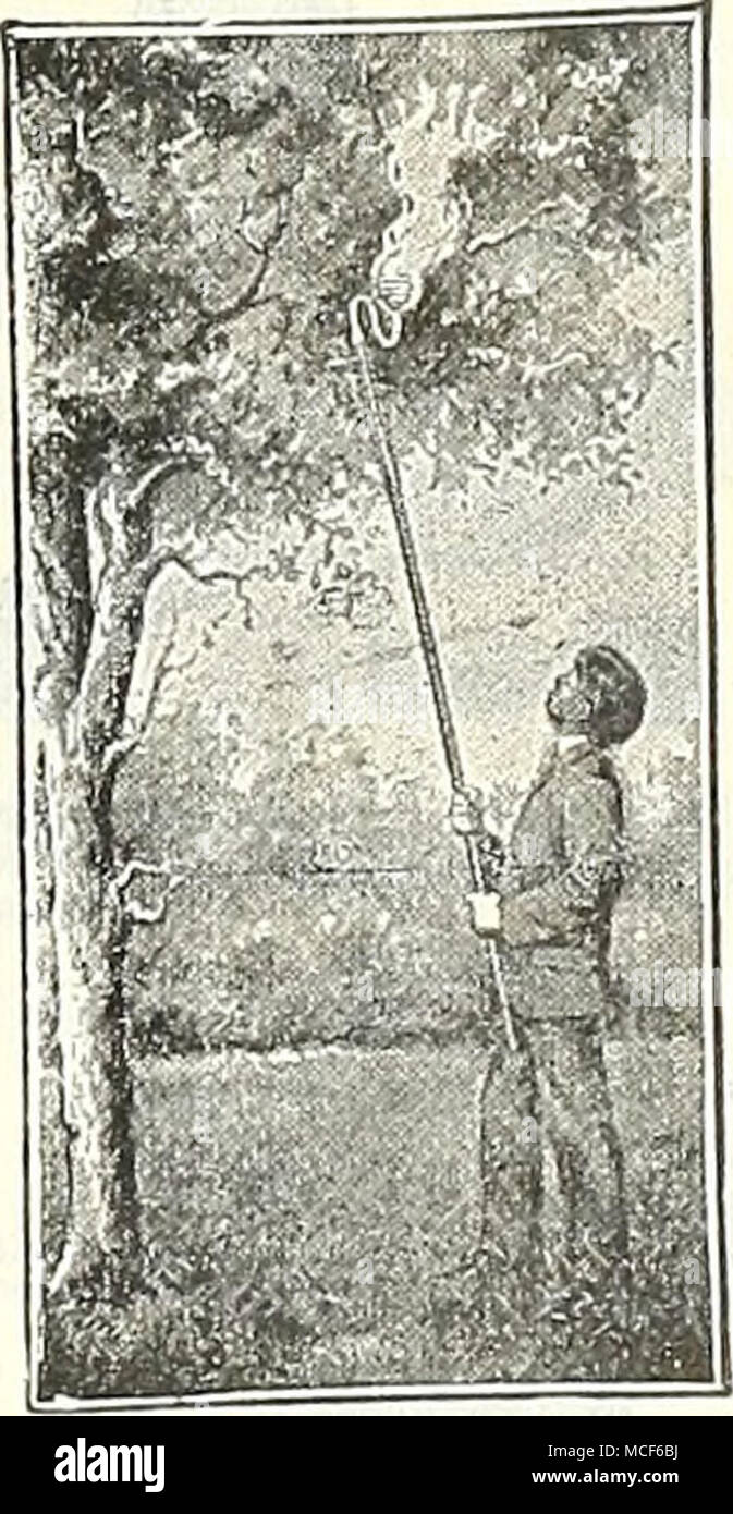 . ATOMIZER SPRAY SYRINGE ASBESTOS TORCH Stock Photo - Alamy