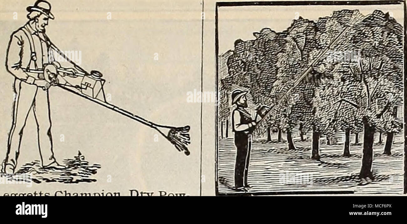 . The Champion Gun. The Champion Gun, used on trees, with tubes ...