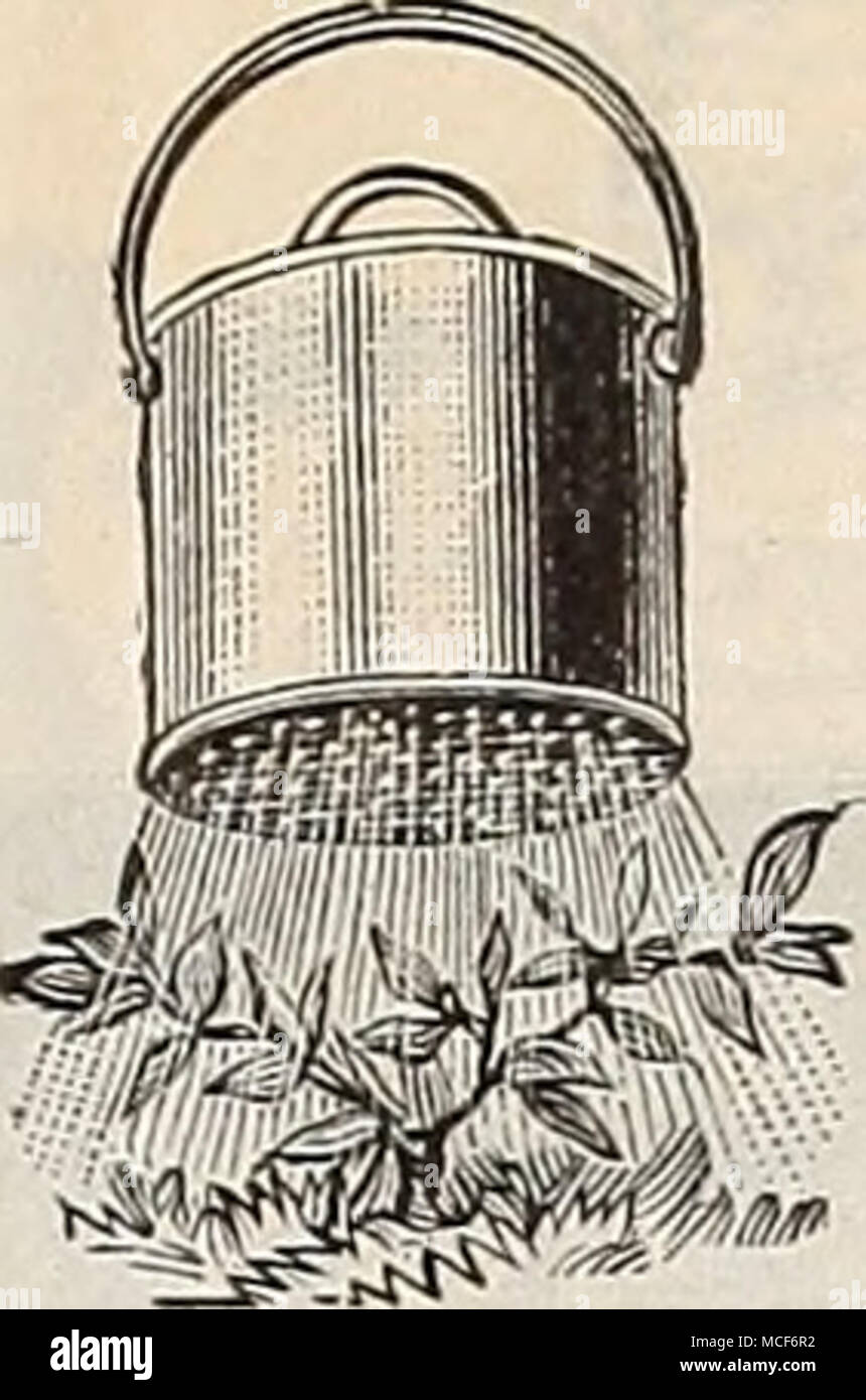 Paris green powder hi-res stock photography and images - Alamy