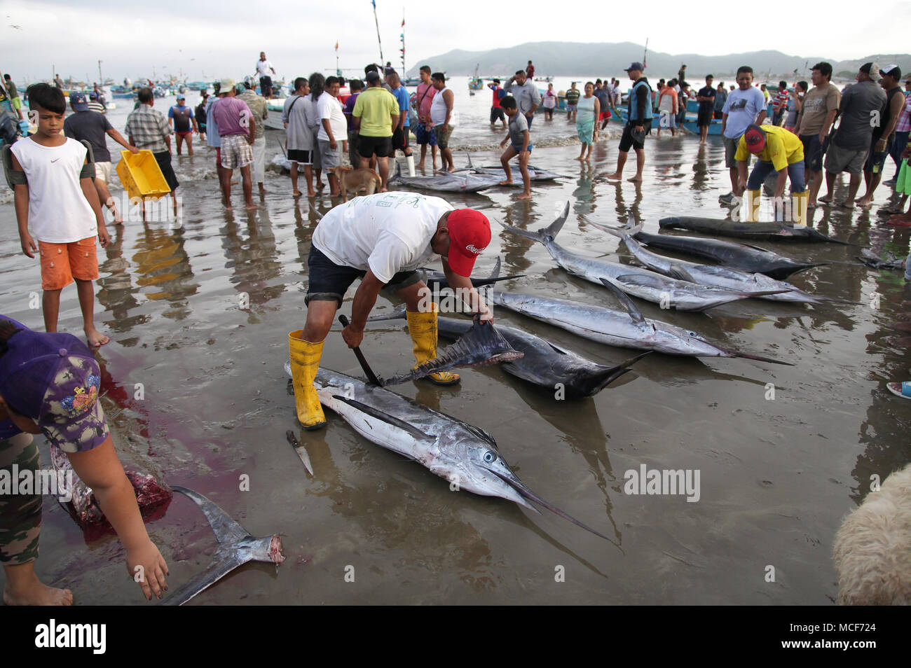The fishing village Puerto Lopez at the Pacific Coast of Ecuador ...