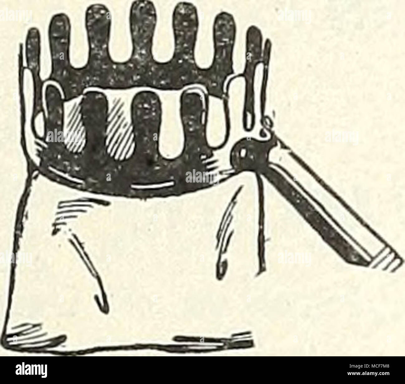 Metal fruit picker hi-res stock photography and images - Alamy