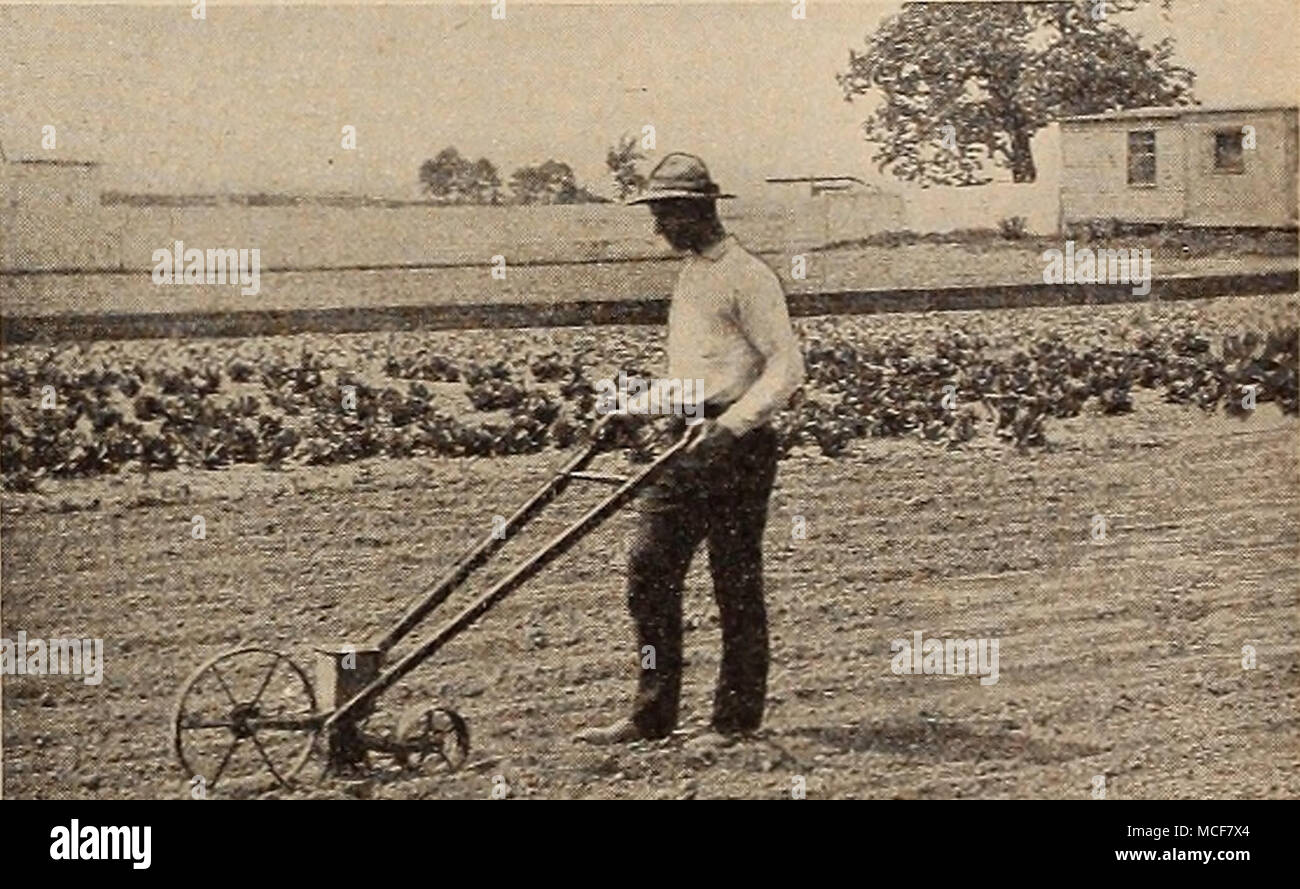 . The Planet Jr. Seed Drill PlantinK and Marking Out Accurately This ...