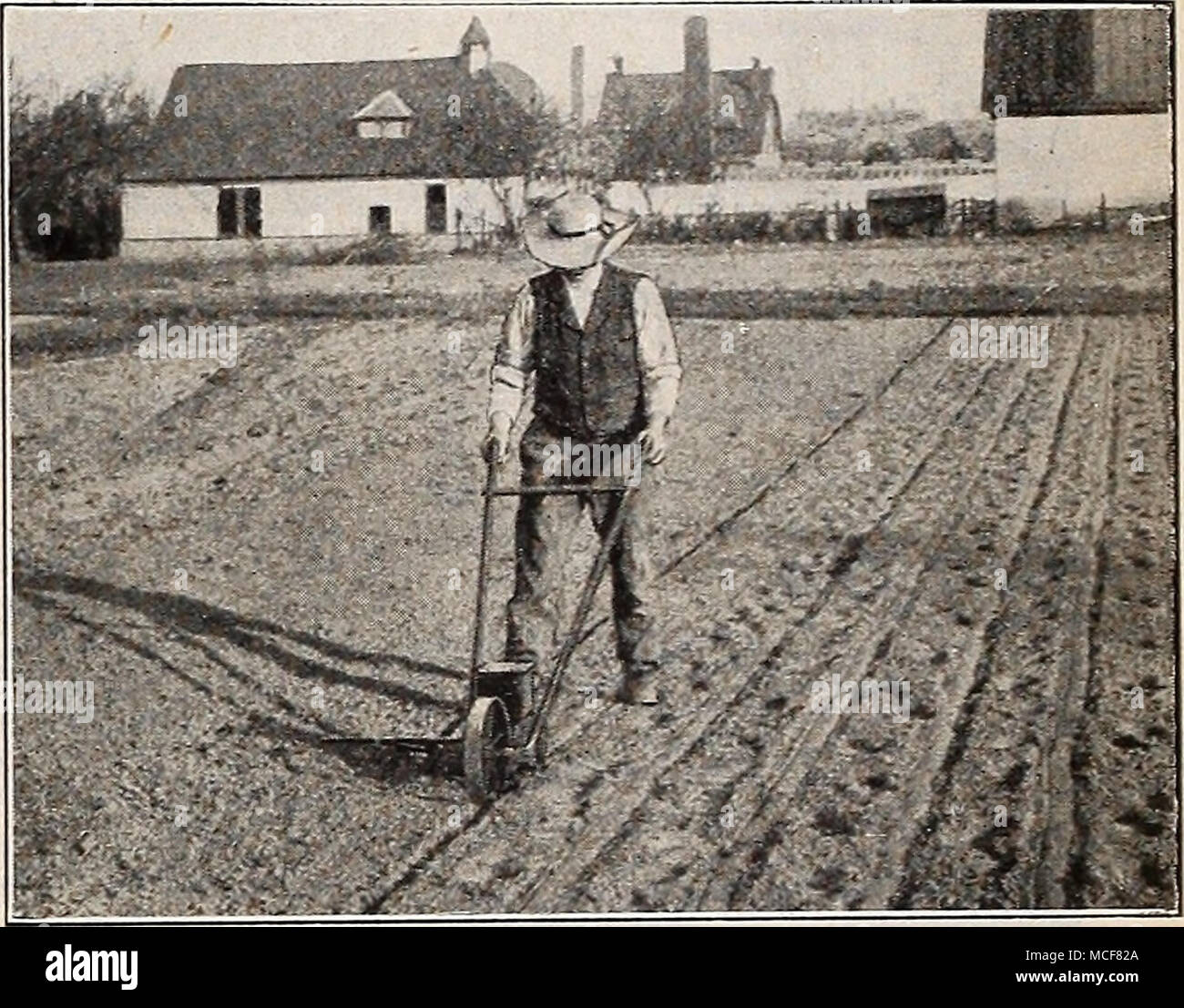 . The Planet Jr. Seed Drill Planting and Marking Out Accurately Planet ...