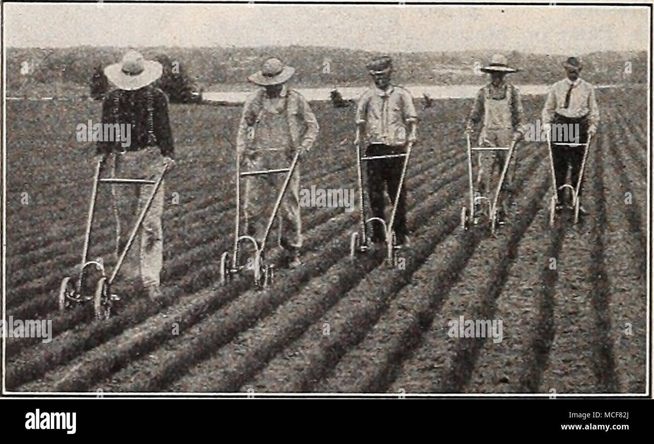 . Planet Jr. Double Wheel Hoes are the greatest cultivating tools in ...