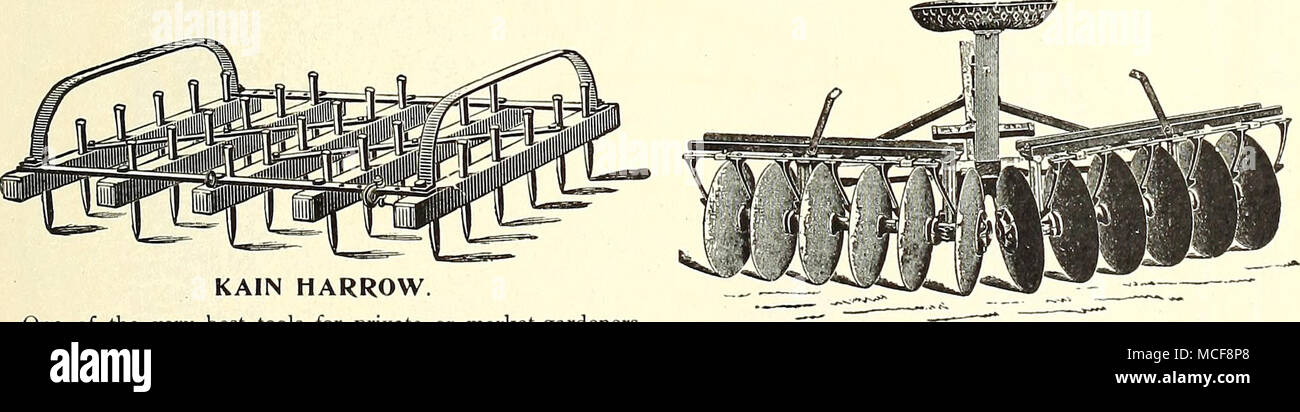 Double tree yoke hi-res stock photography and images - Alamy