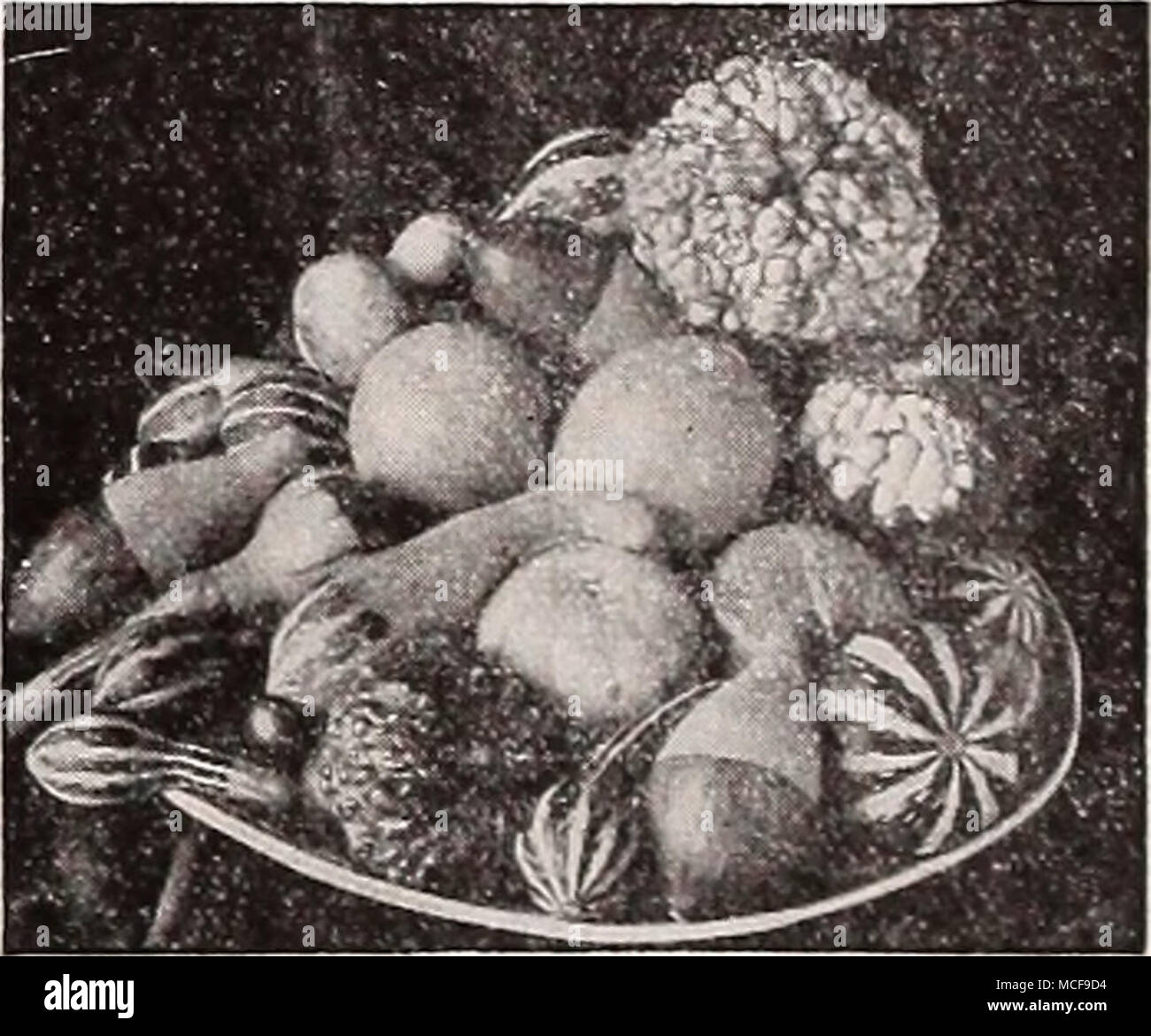 Long neck gourd hi-res stock photography and images - Alamy