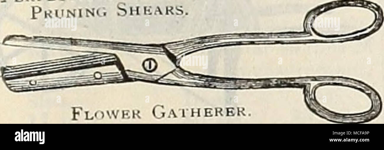 Sraff hi-res stock photography and images - Alamy