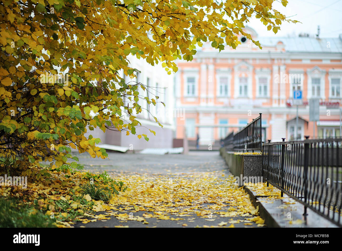 Autumn landscape. The leaves fly from the trees in the city. Aut Stock ...