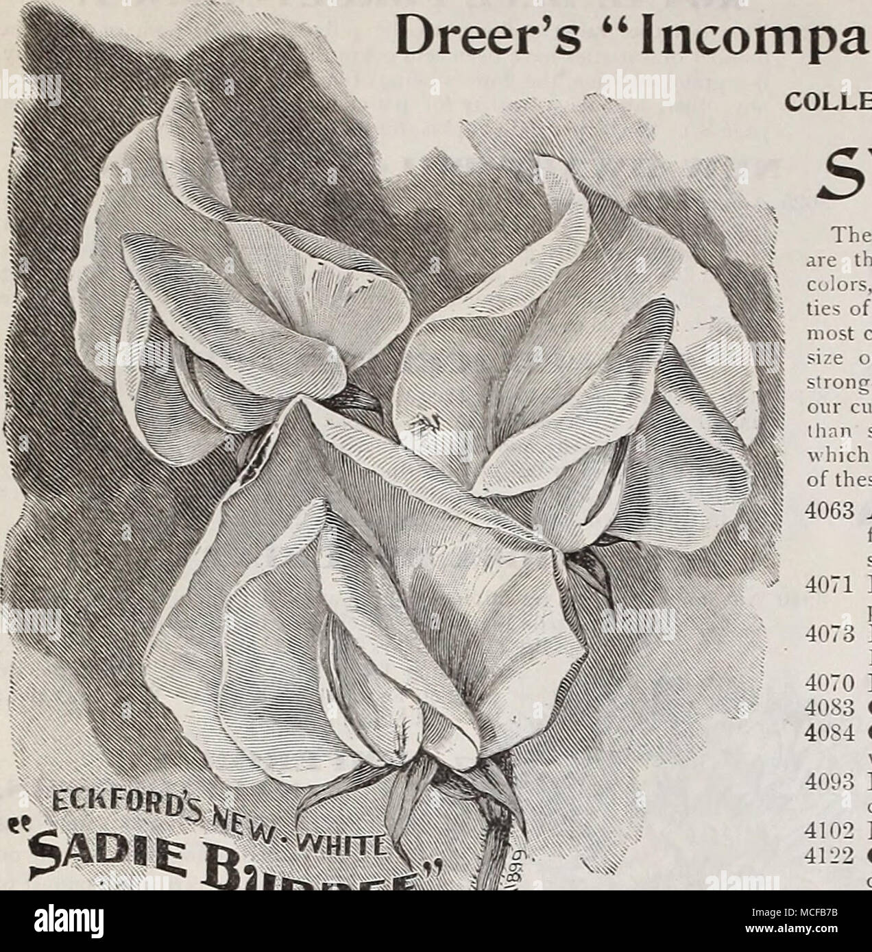 . COLLECTION OF Stock Photo - Alamy